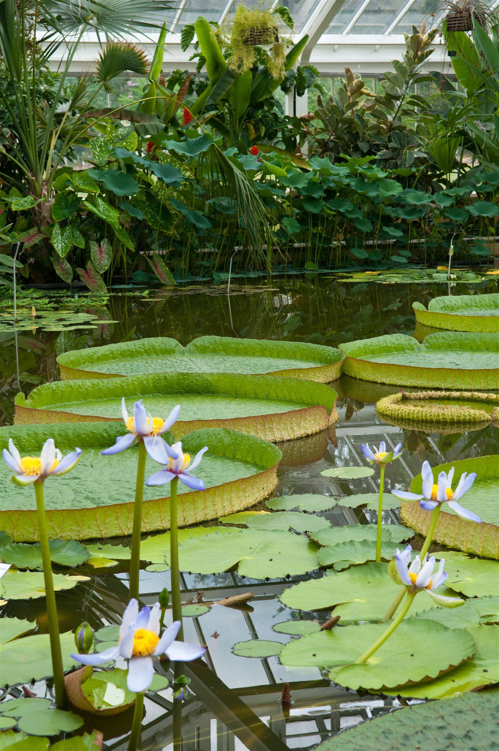 Plantentuin Meise (Meise) - Bezoekersinformatie & Recensies