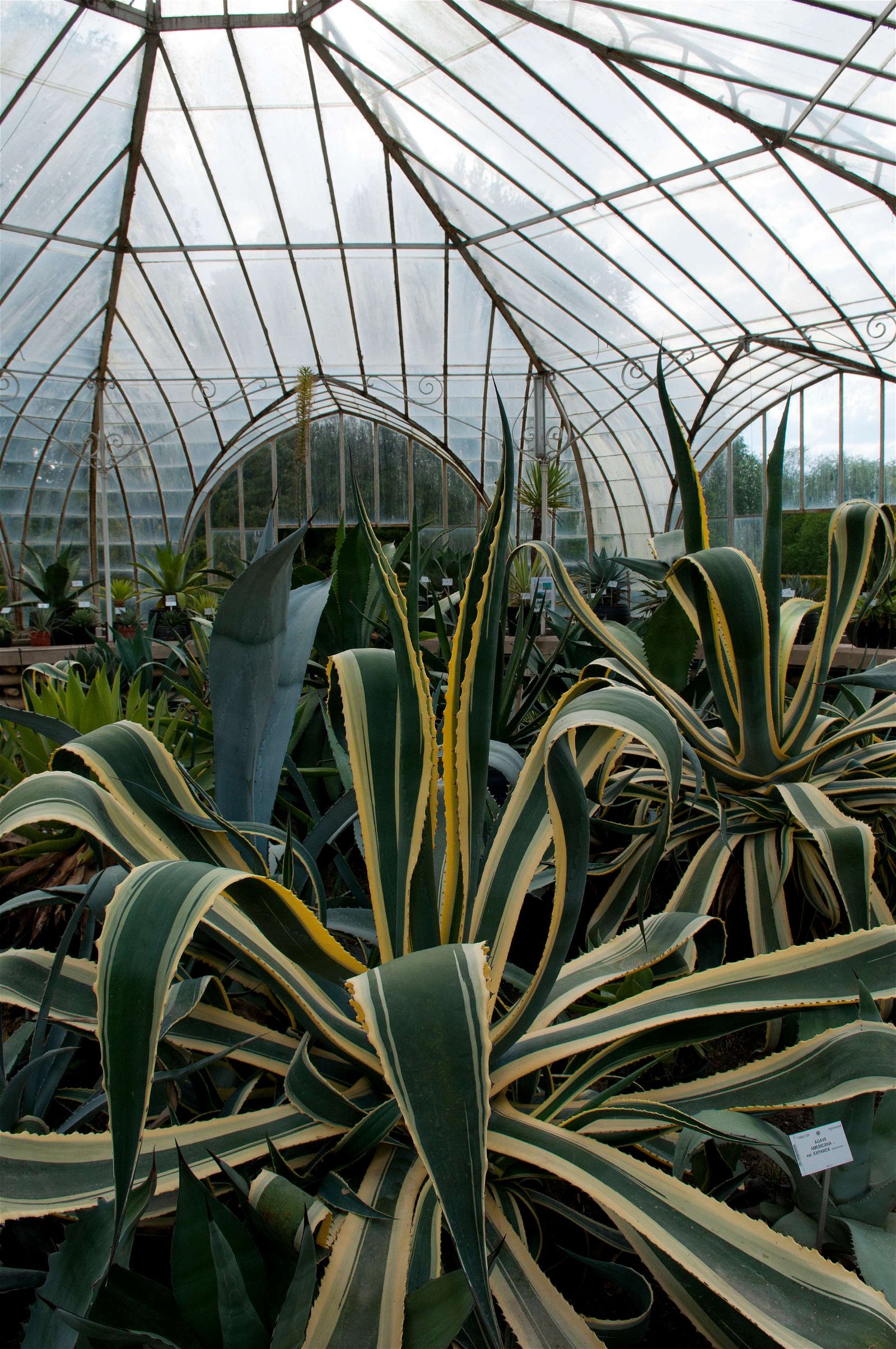 Plantentuin Meise (Meise) - Bezoekersinformatie & Recensies