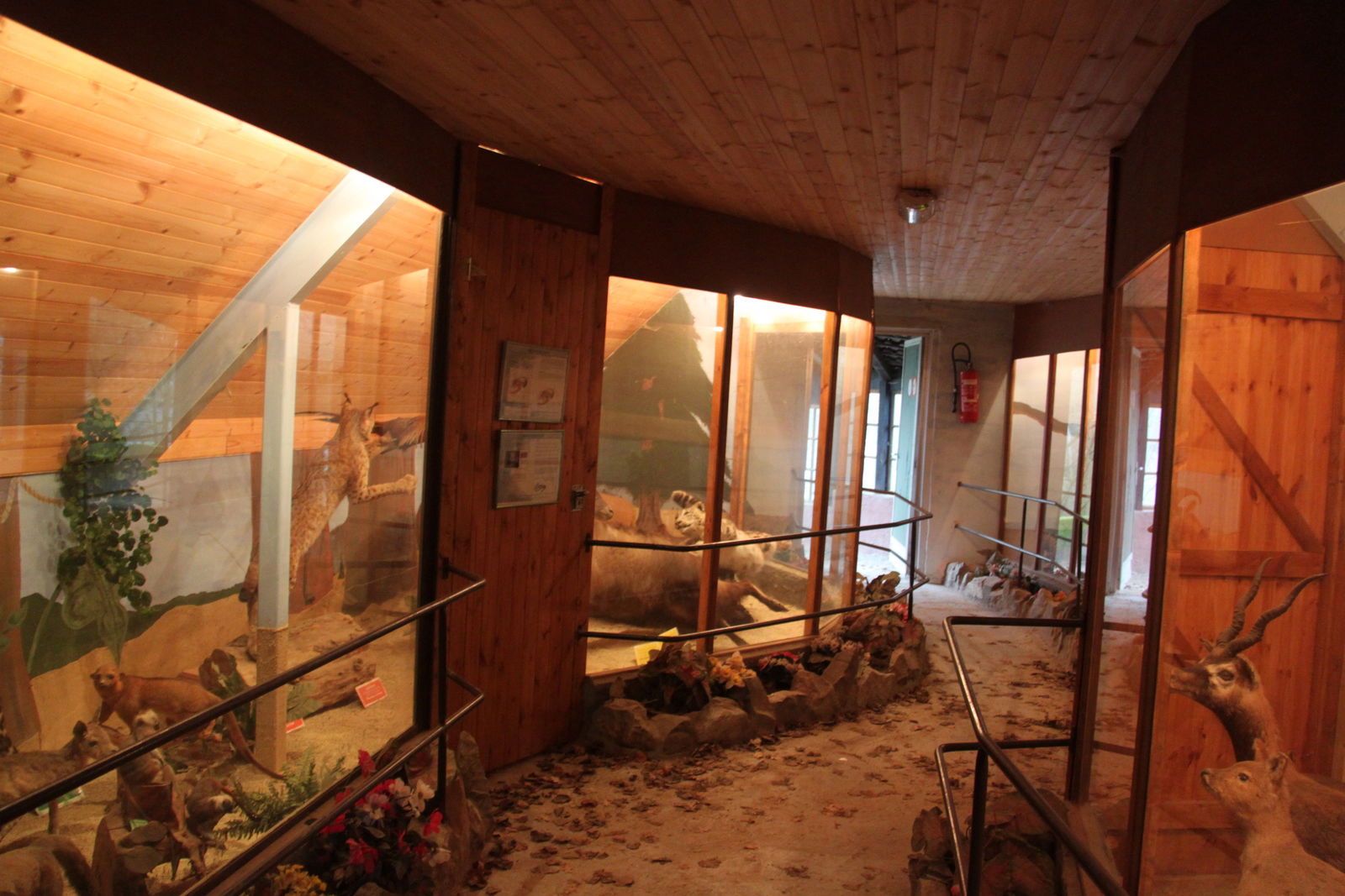 Olmense Zoo (Olmen) - Visitor Information & Reviews