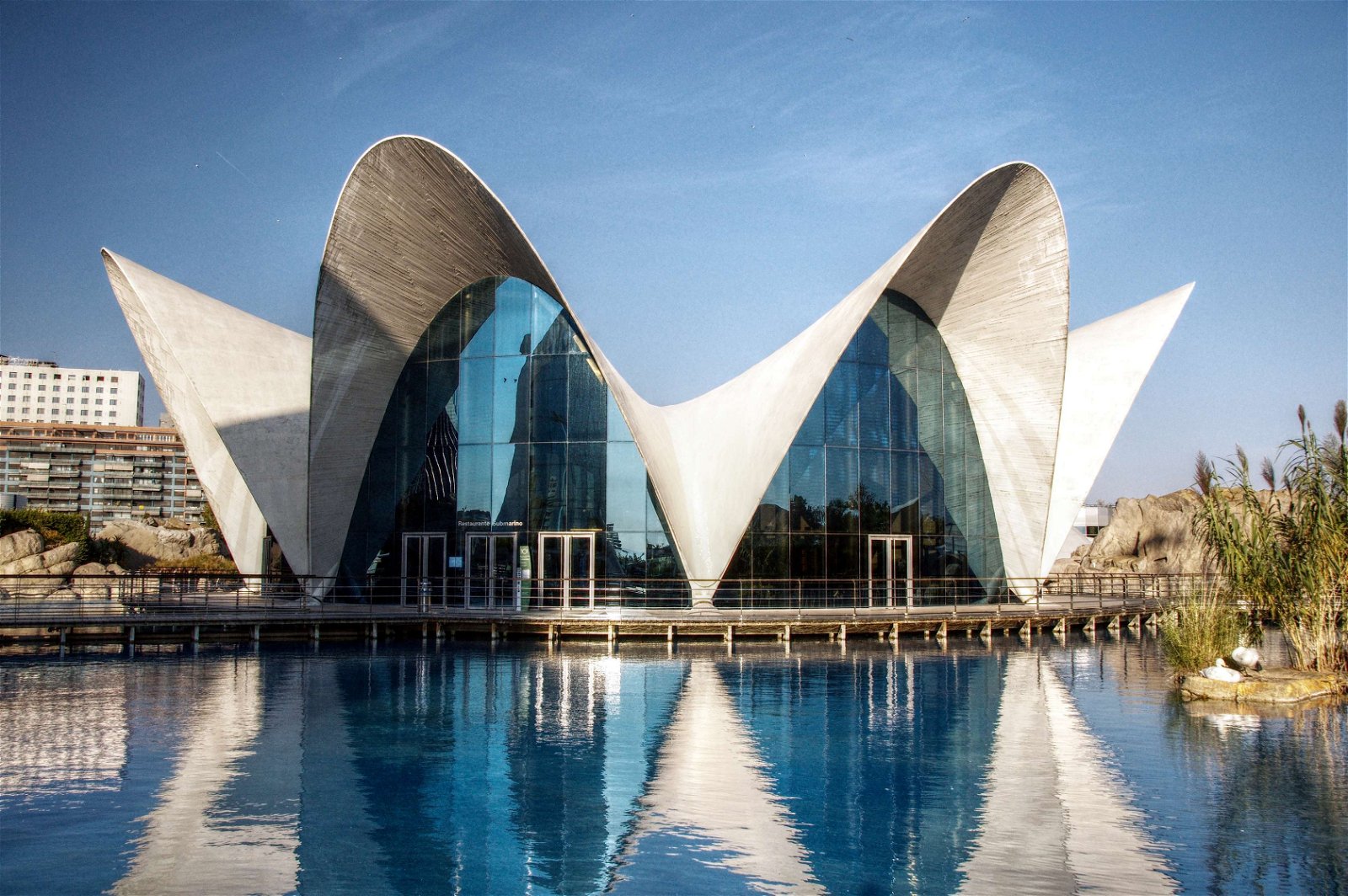 Oceanogràfic of Valencia (Valencia) - Visitor Information & Reviews
