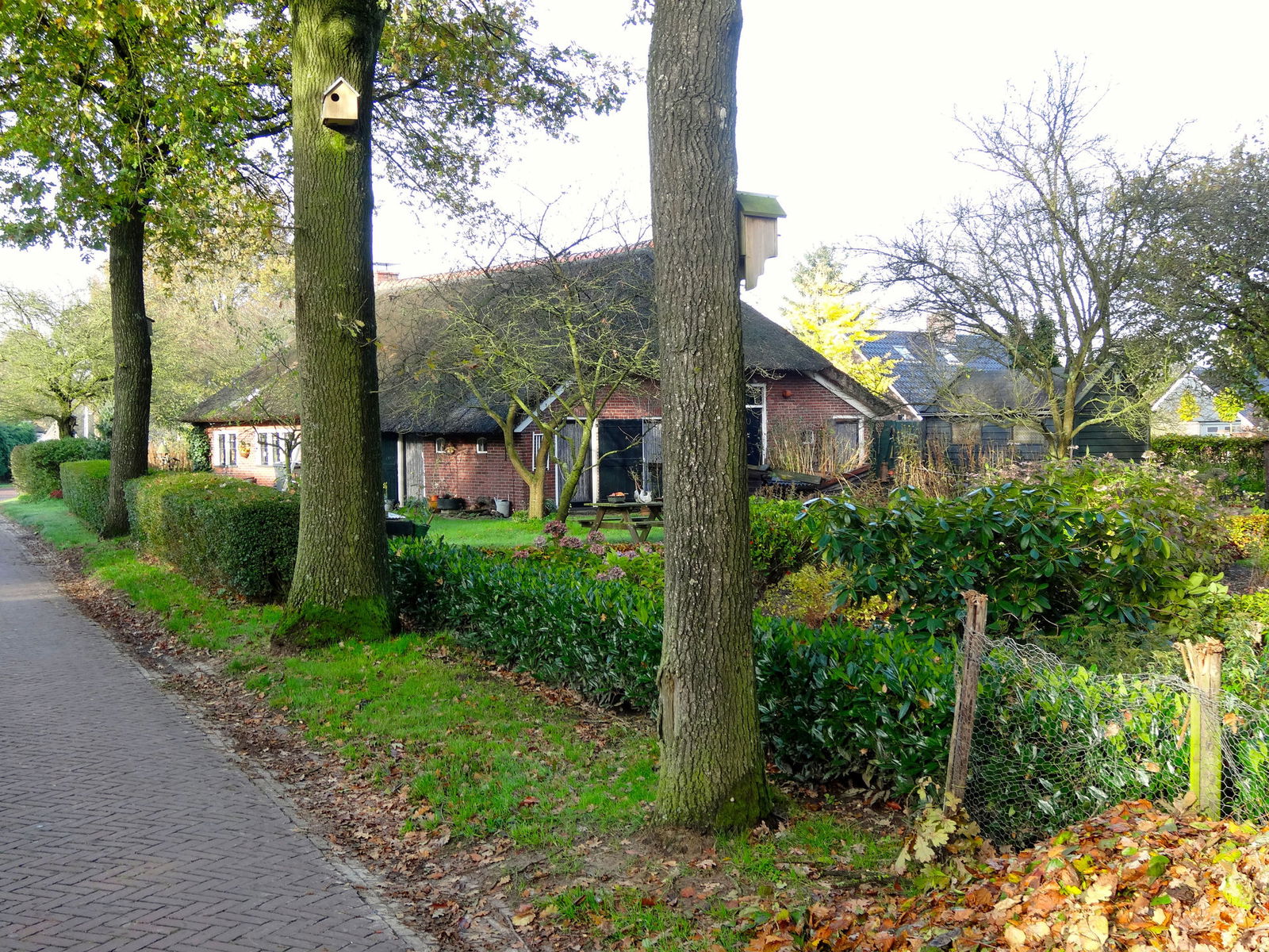 Drouwen: Ontdek alle 5+ Musea, Tentoonstellingen & Korting