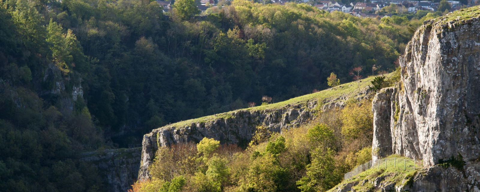 Cheddar Gorge (Cheddar) - Visitor Information & Reviews