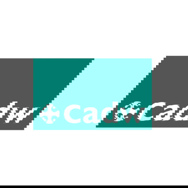 Cadw Explorer Pass: View All Participating Museums (2025)