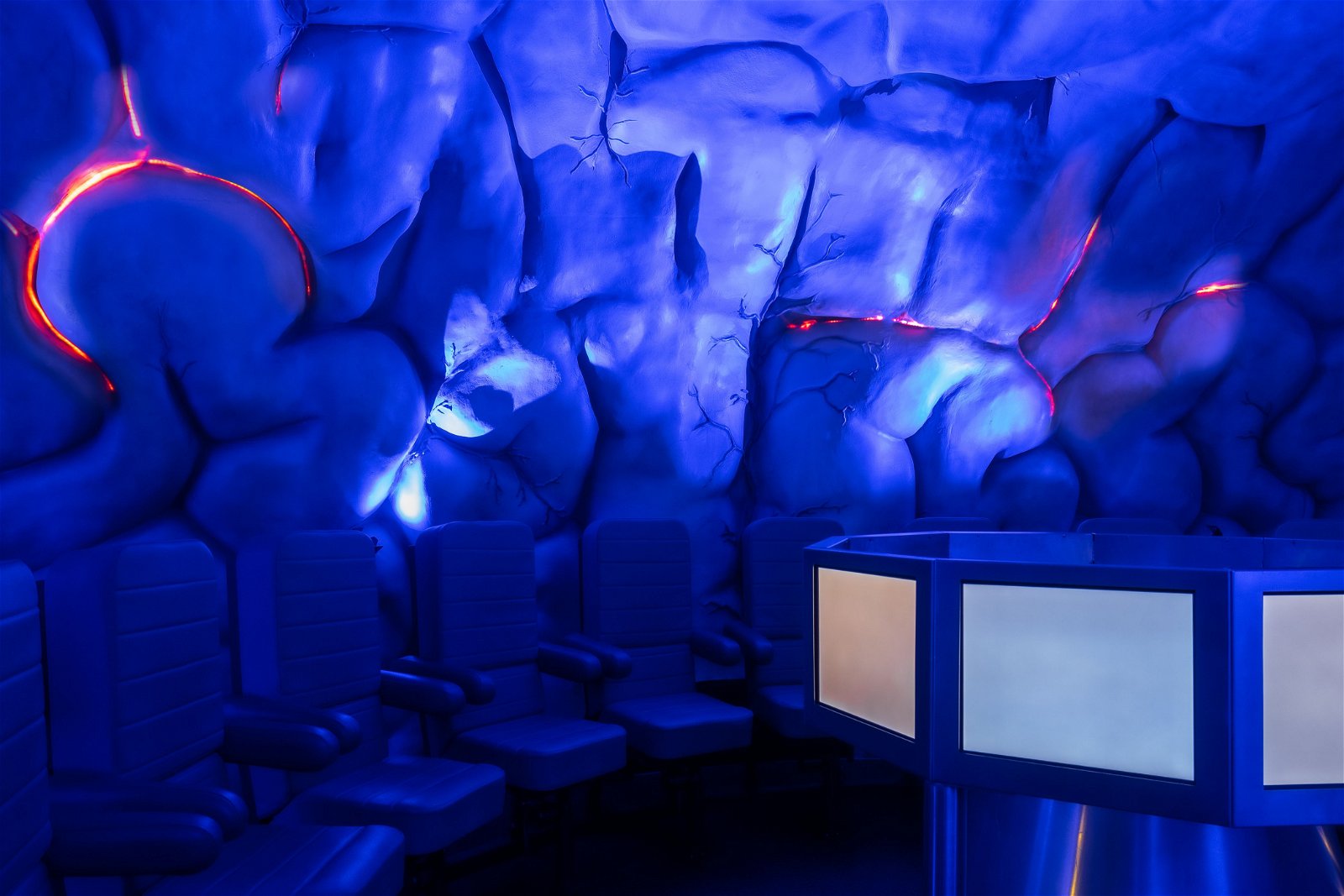 CORPUS 'journey through the human body' (Oegstgeest) - Visitor ...