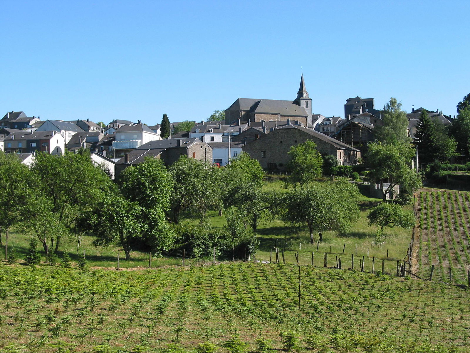 Corbion: Discover all 7+ Museums, Exhibitions & Discounts
