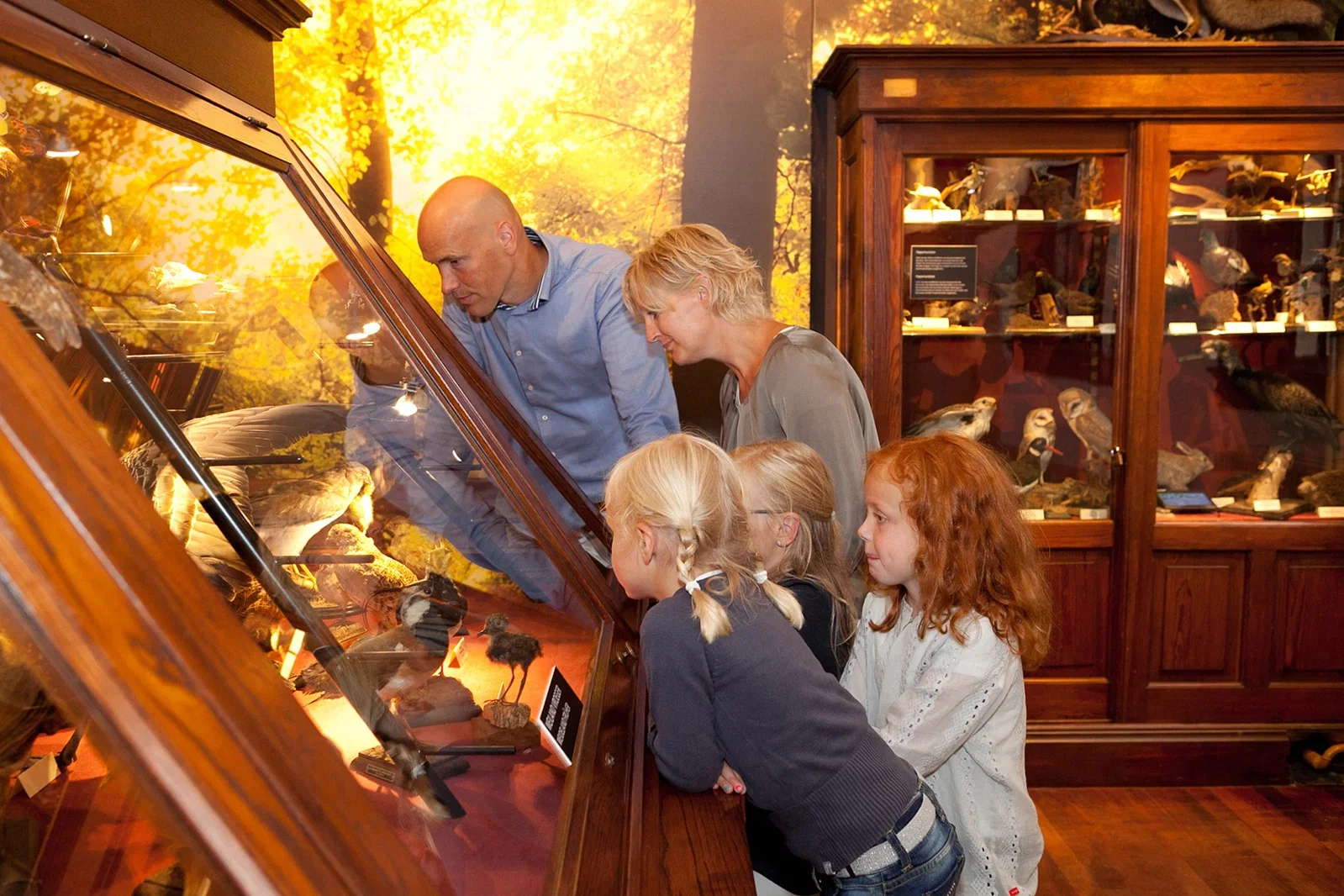 Museum Natura Docet (Denekamp) - Información para Visitantes & Reseñas
