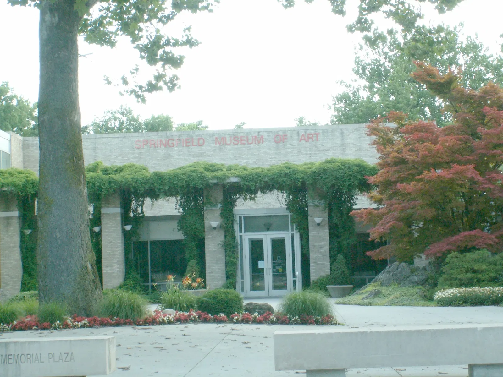 Springfield Museum of Art (Springfield) - Visitor Information & Reviews