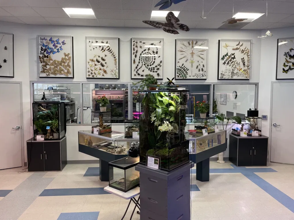 Entomica Insectarium (Sault Sainte Marie) - Visitor Information & Reviews