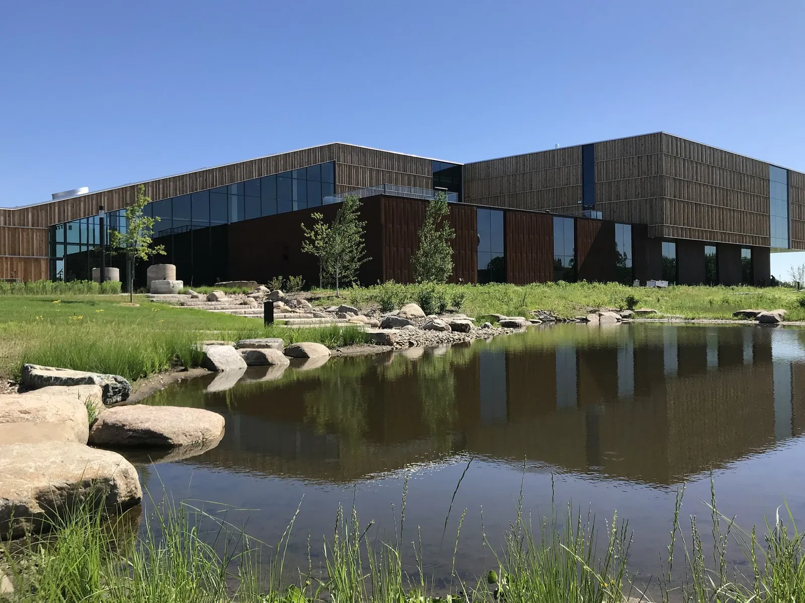 Bell Museum (Falcon Heights) - Visitor Information & Reviews
