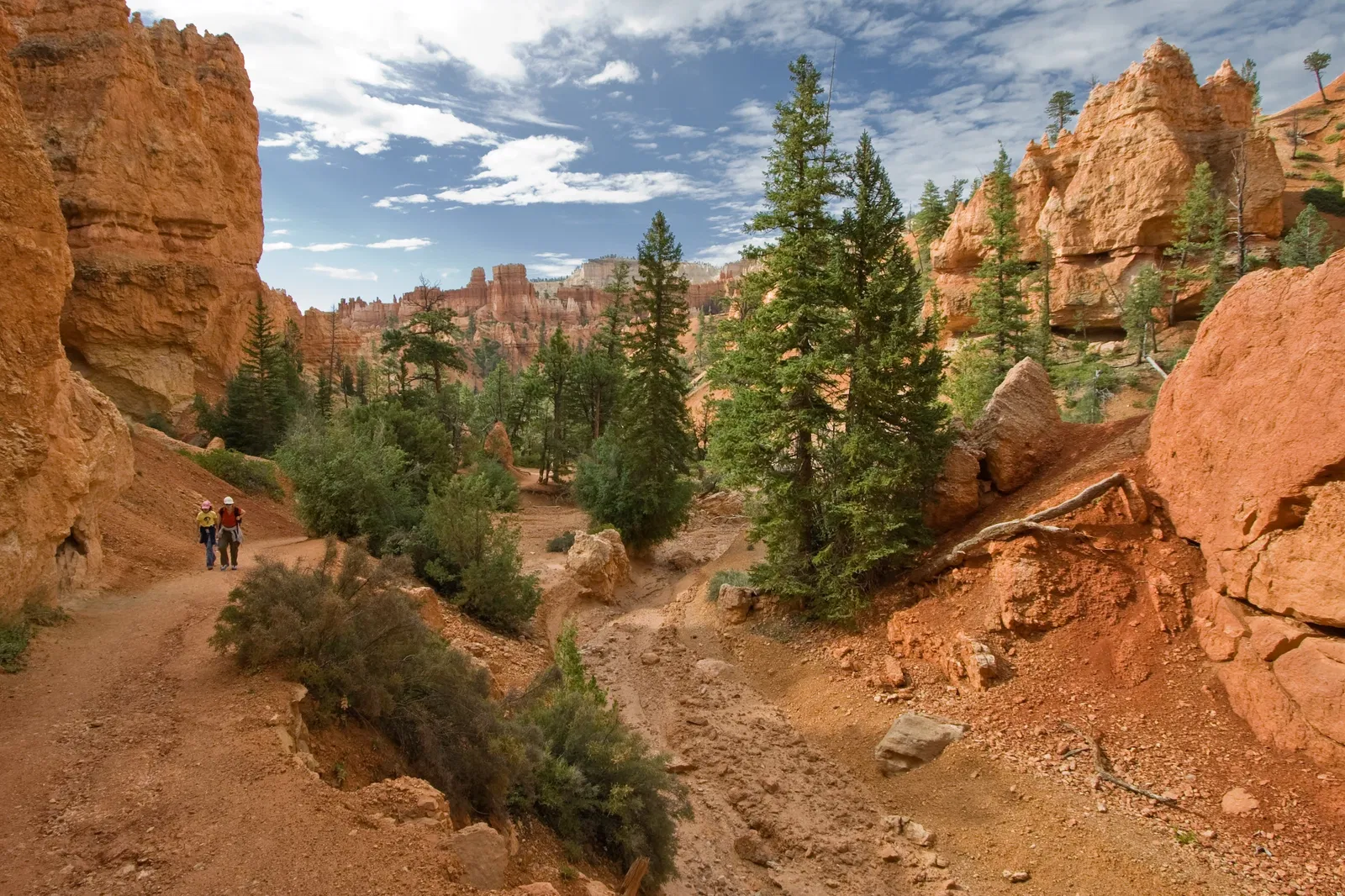 Bryce: Discover all 1+ Museums, Exhibitions & Discounts