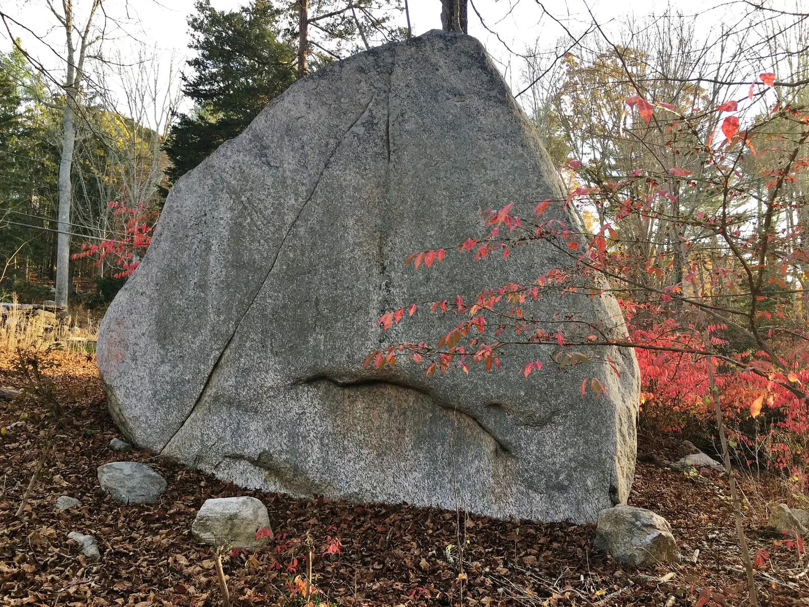 Ledyard: Discover all 8+ Museums, Exhibitions & Discounts