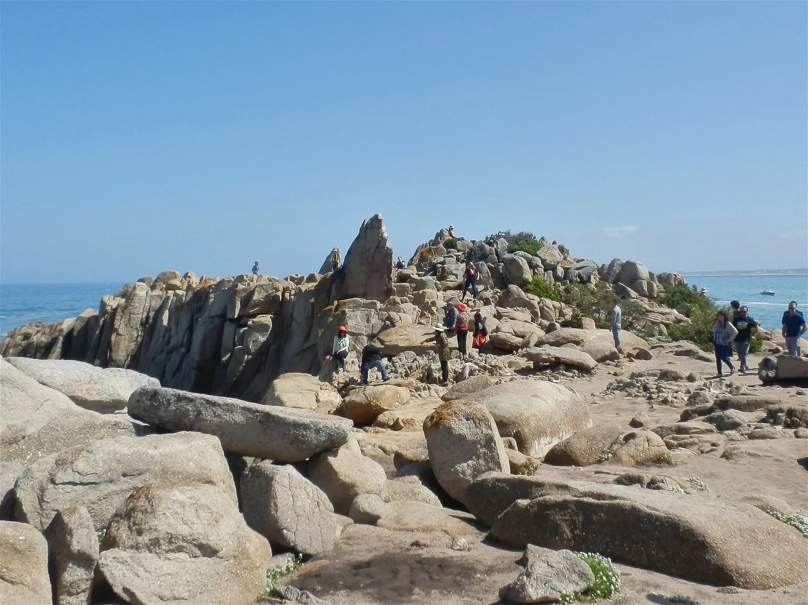 Pacific Grove: Discover all 2+ Museums, Exhibitions & Discounts