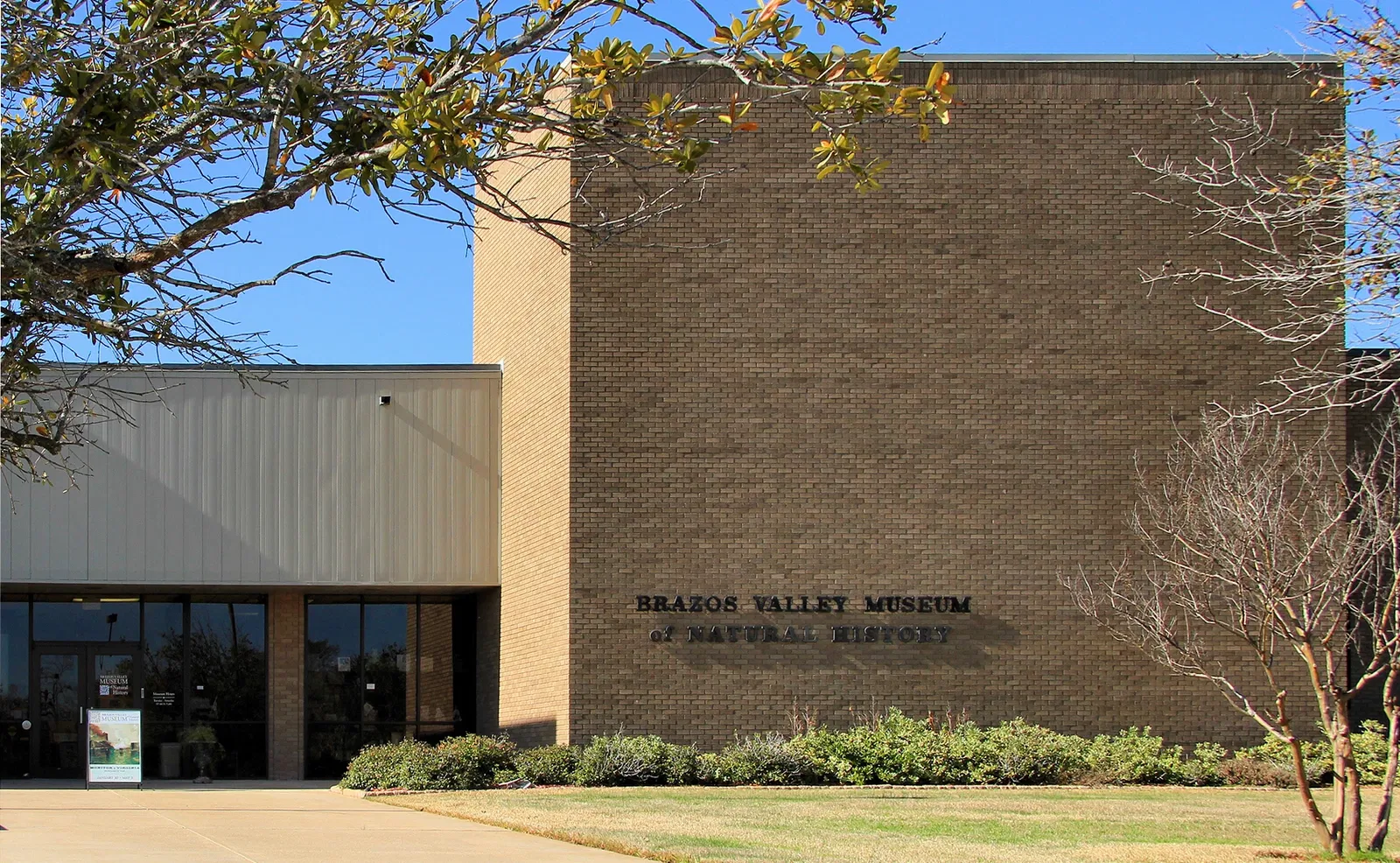 Brazos Valley Museum of Natural History (Bryan) - Visitor Information ...