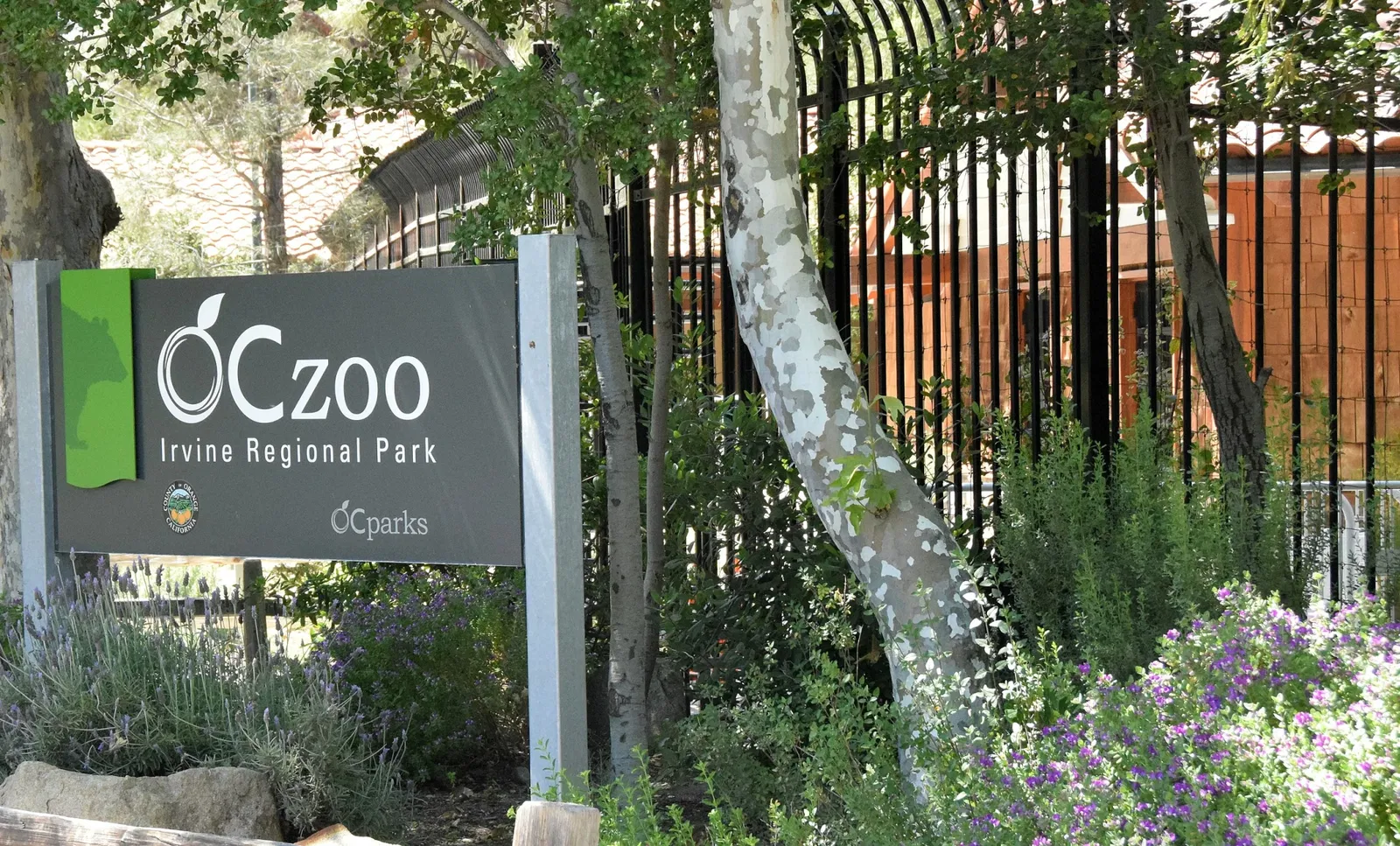 Orange County Zoo (Orange) - Visitor Information & Reviews
