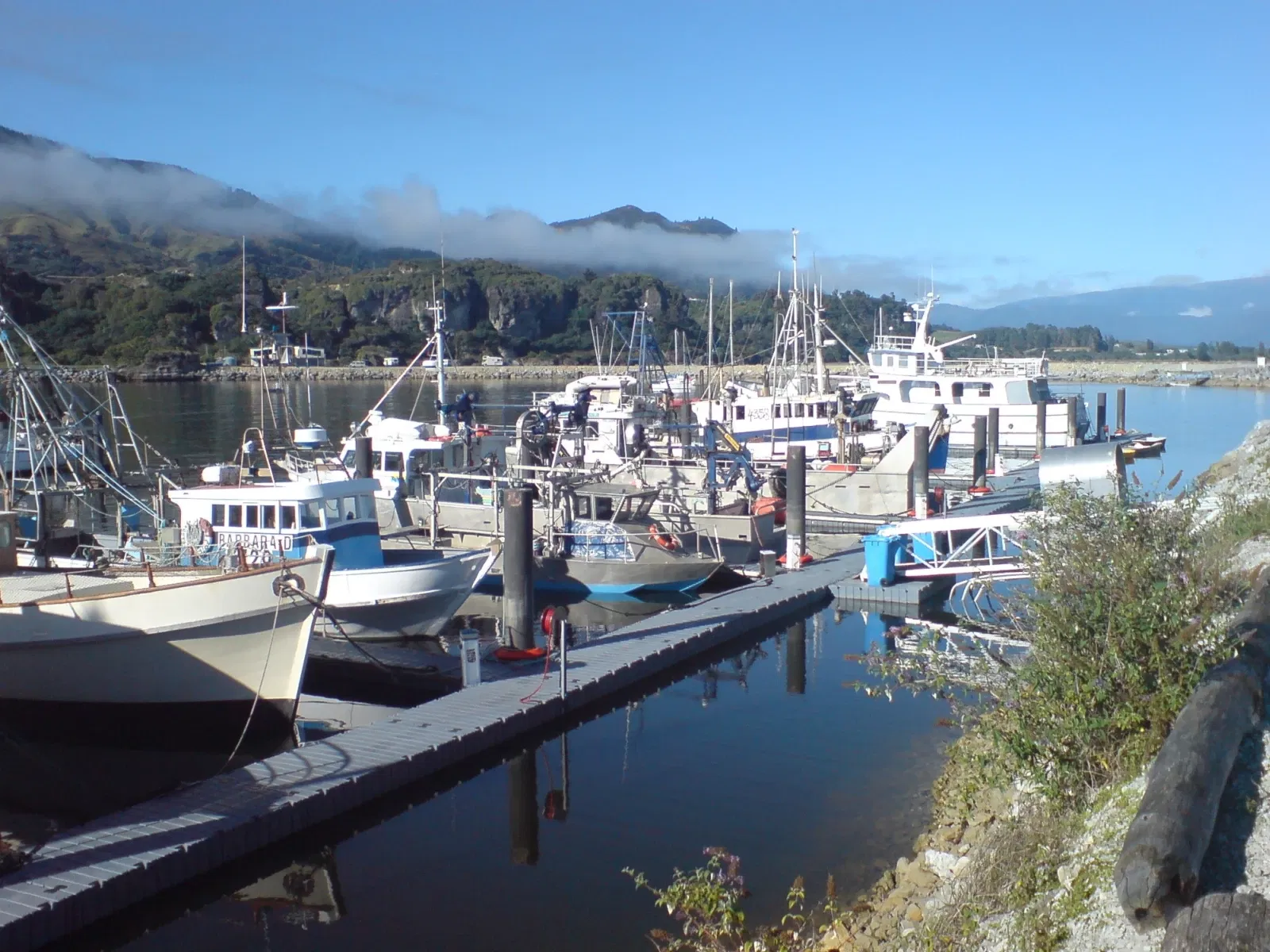Takaka: Discover all 1+ Museums, Exhibitions & Discounts