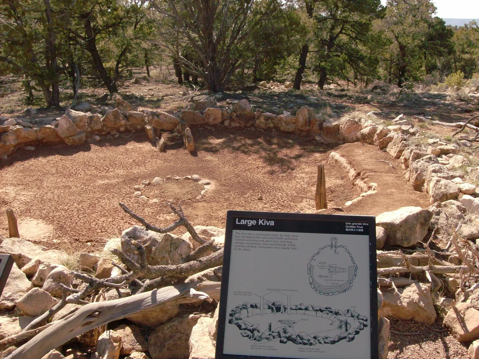 Tusayan: Discover all 1+ Museums, Exhibitions & Discounts