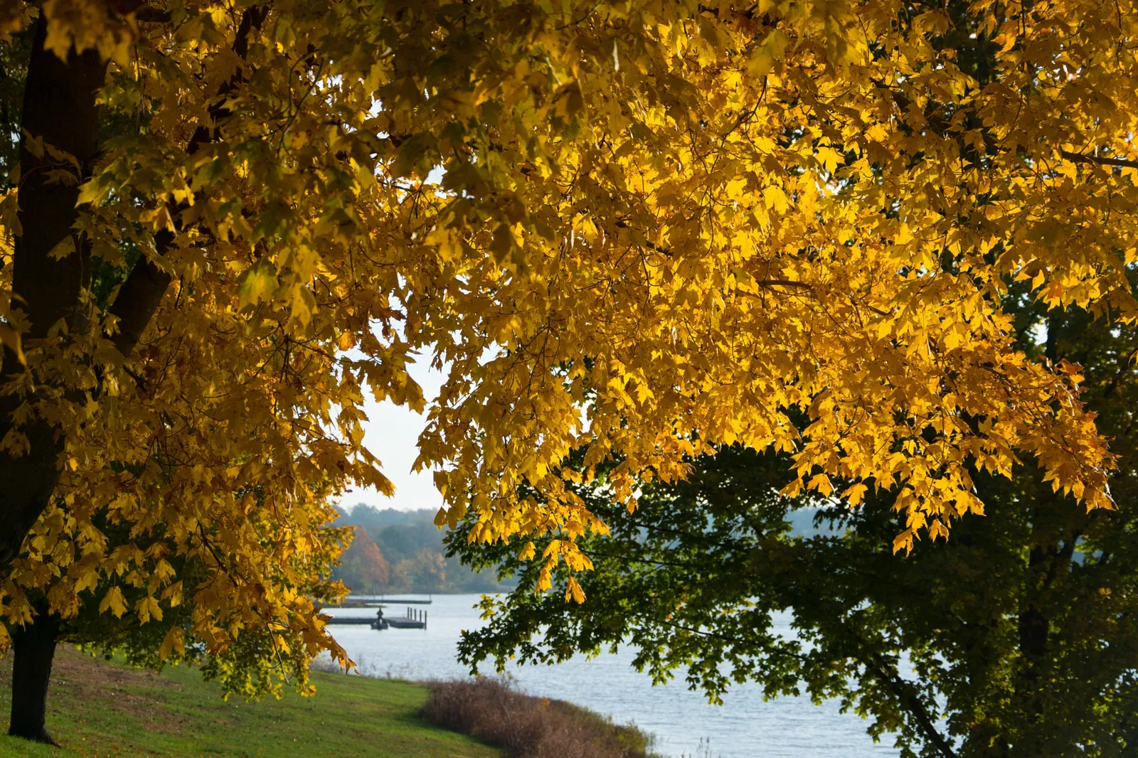 Shawnee: Discover all 6+ Museums, Exhibitions & Discounts