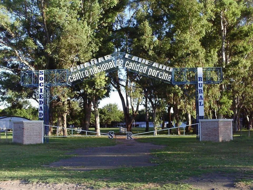 Chañar Ladeado: Discover all 1+ Museums, Exhibitions & Discounts