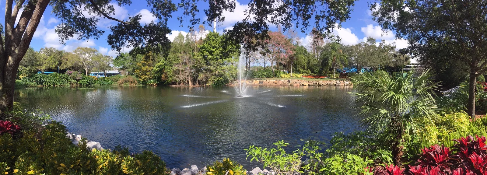 SeaWorld Orlando (Orlando) - Visitor Information & Reviews