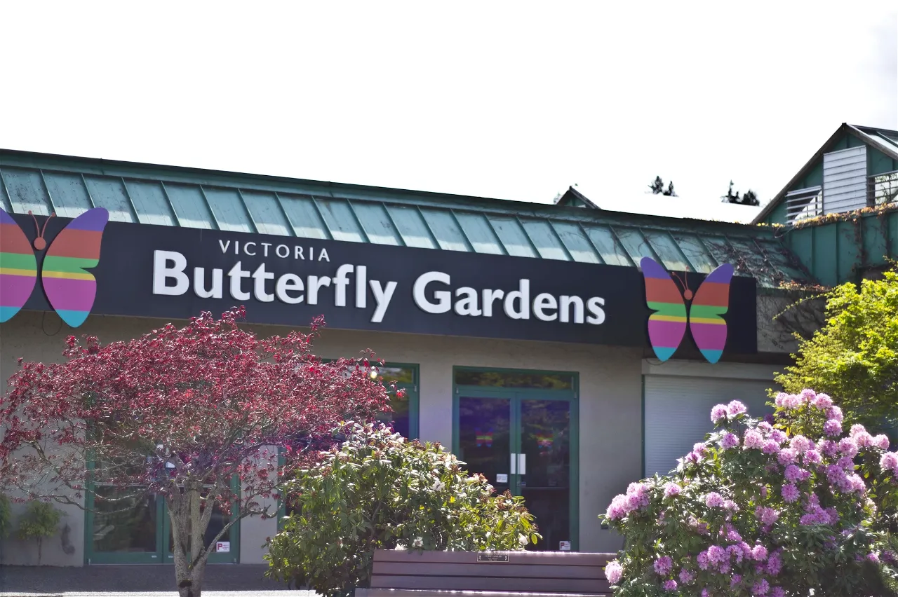 Victoria Butterfly Gardens Victoria Butterfly Gardens Entrance Ticket