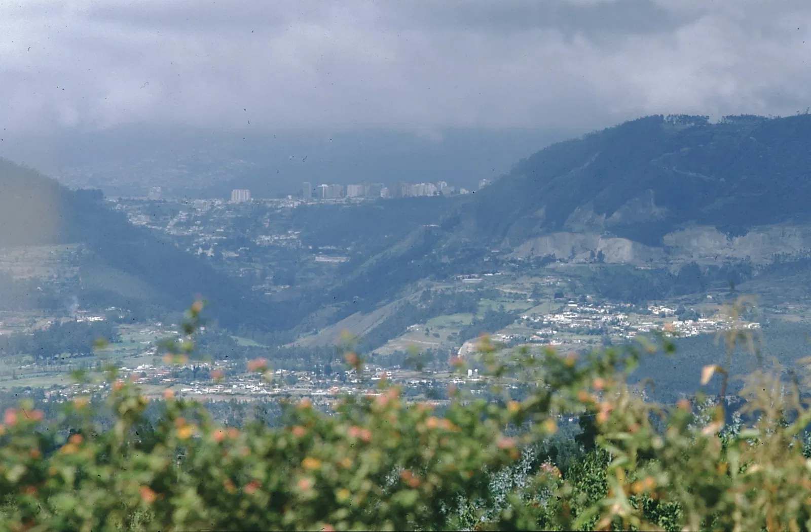 Tumbaco: Discover all 12+ Museums, Exhibitions & Discounts