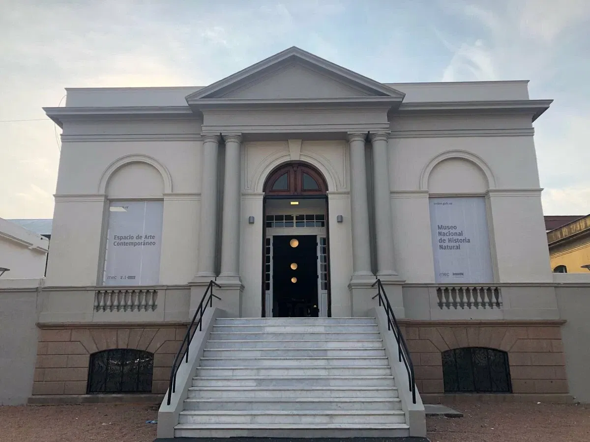 National Museum of Natural History (Montevideo) - Visitor Information ...