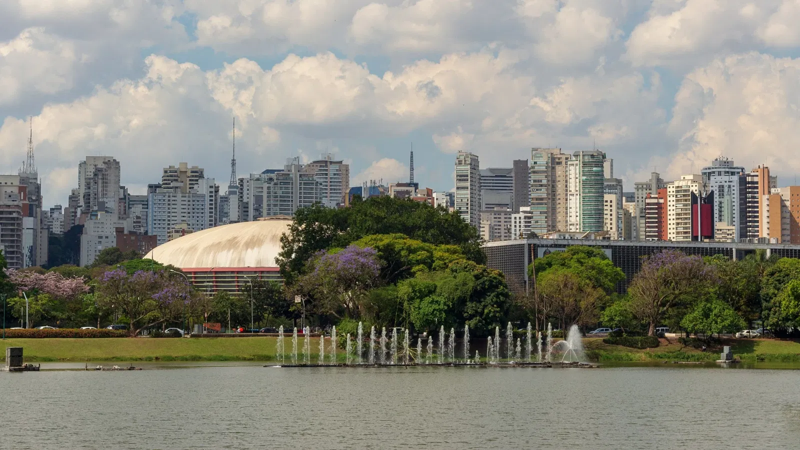 Animal museums in São Paulo