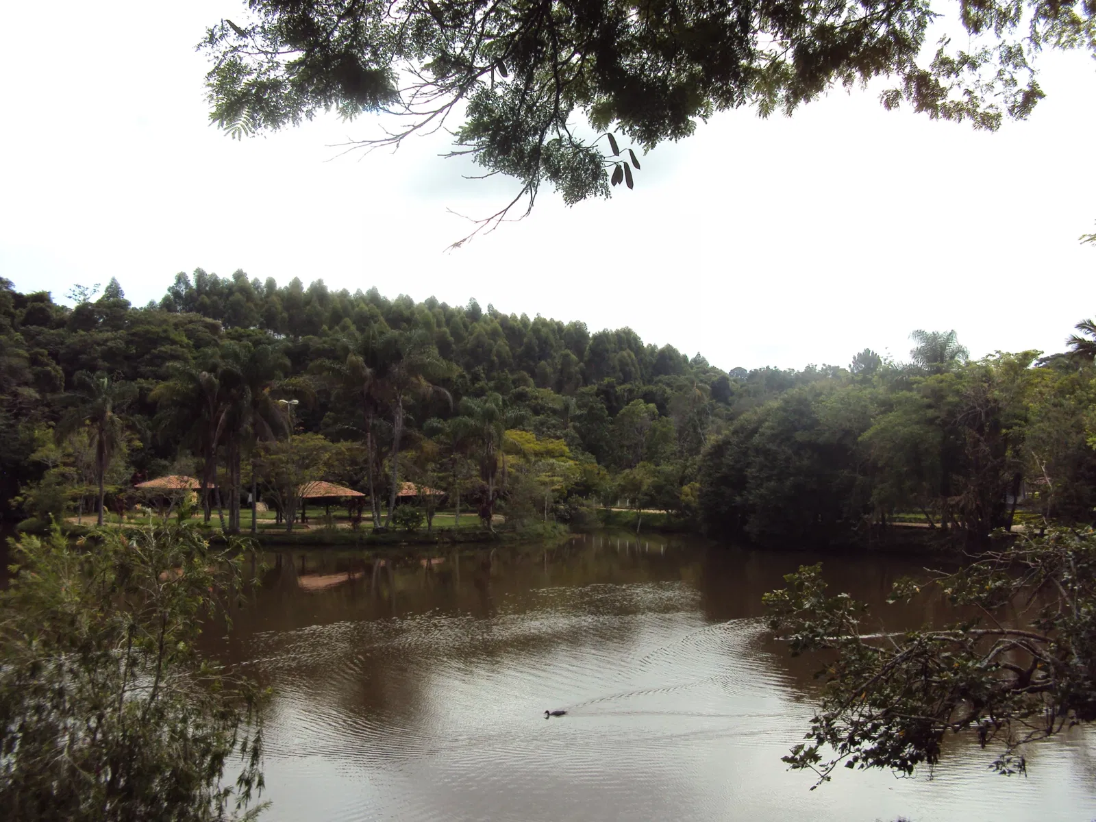 Zoológico de Alfenas (Alfenas) - Visitor Information & Reviews