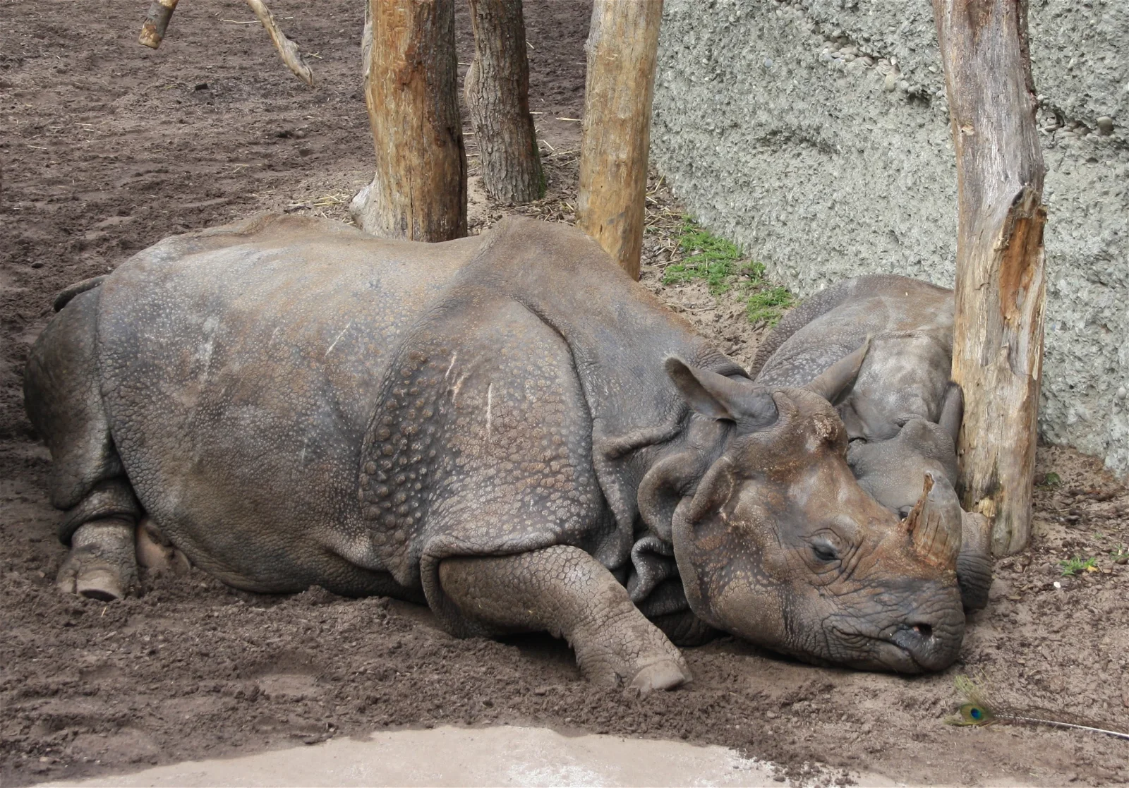 Zoo Basel (Basel) - Visitor Information & Reviews