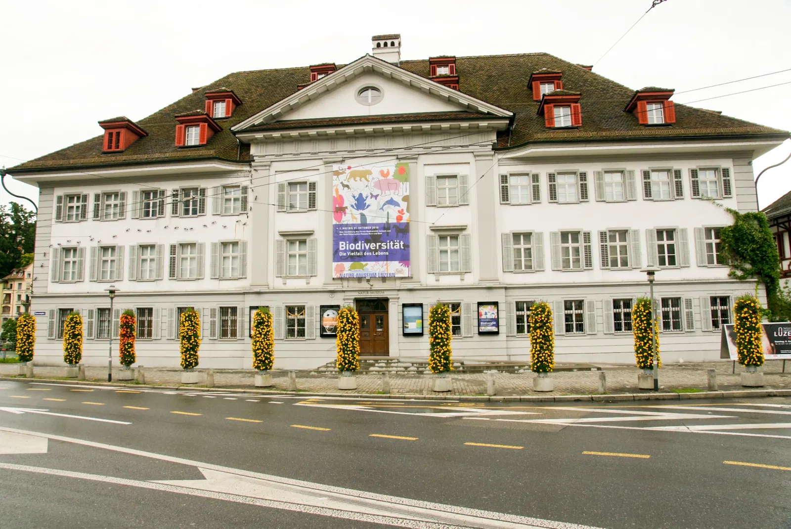 Lucerne Nature Museum (Lucerne) - Visitor Information & Reviews
