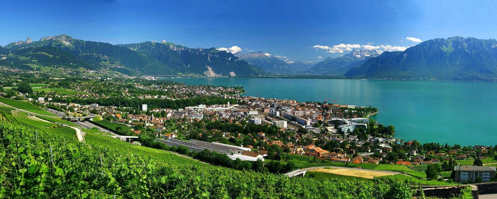 Vevey: Discover all 10+ Museums, Exhibitions & Discounts