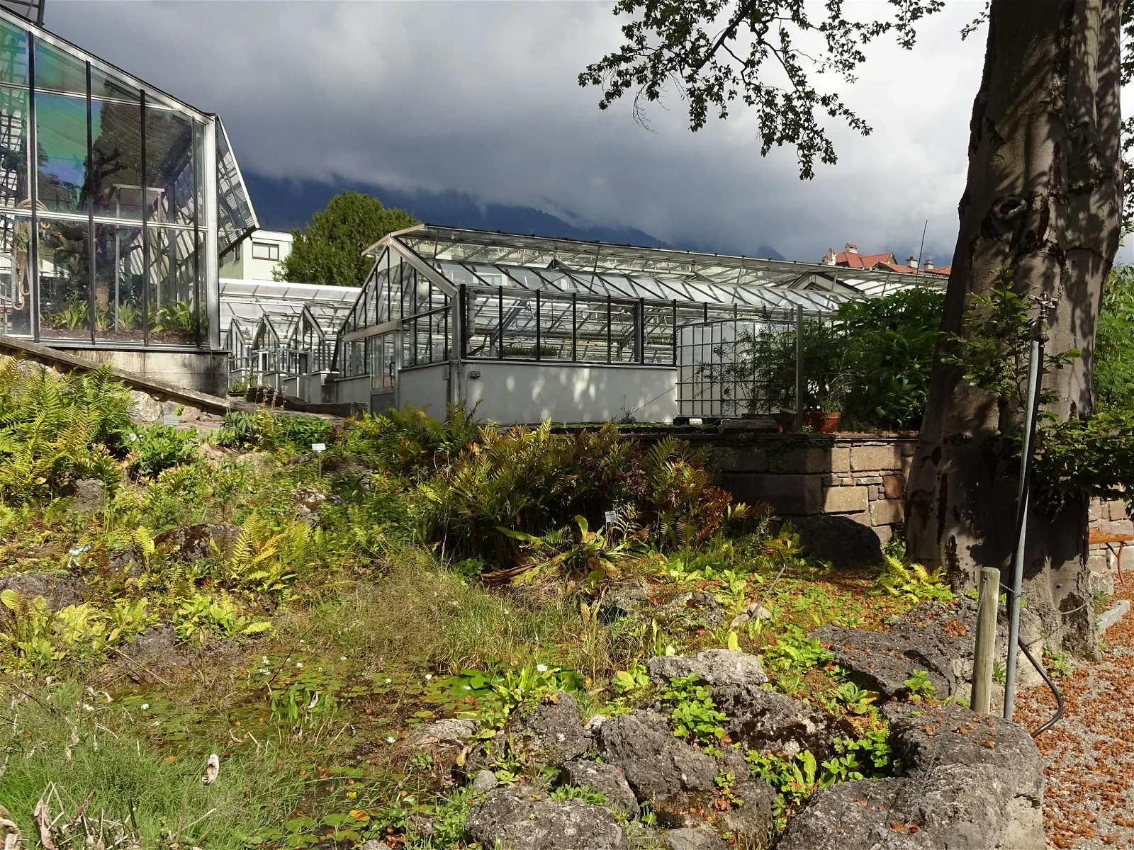 Botanical Garden of the University of Innsbruck (Innsbruck) - Visitor ...