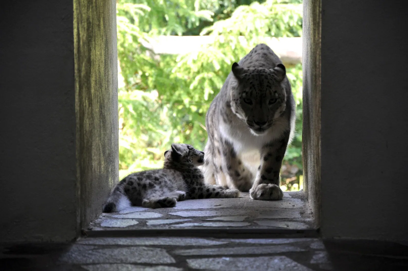 Zoo de Servion (Servion) - Besucherinformationen & Bewertungen