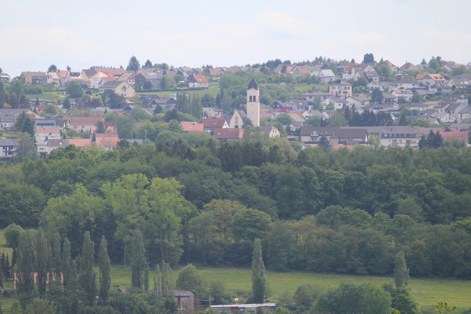 Holz: Discover all 2+ Museums, Exhibitions & Discounts