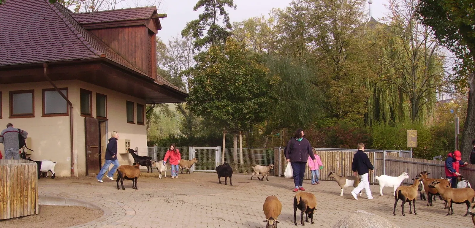 Streichelzoo Tripsdrill (Cleebronn) - Visitor Information & Reviews