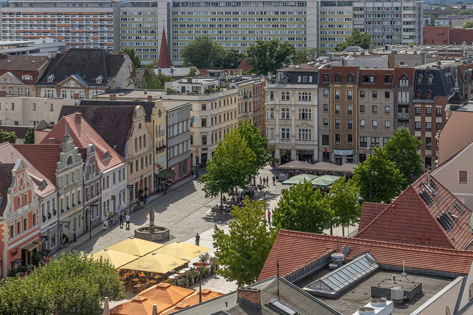 Top 5 Best Museums in Cottbus (August 2025)