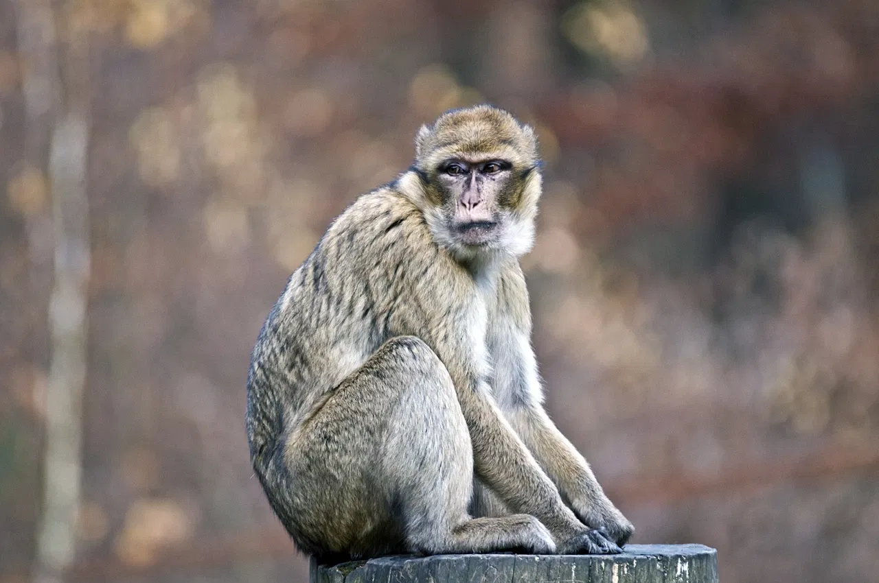 Tierpark Gera (Gera) - Visitor Information & Reviews