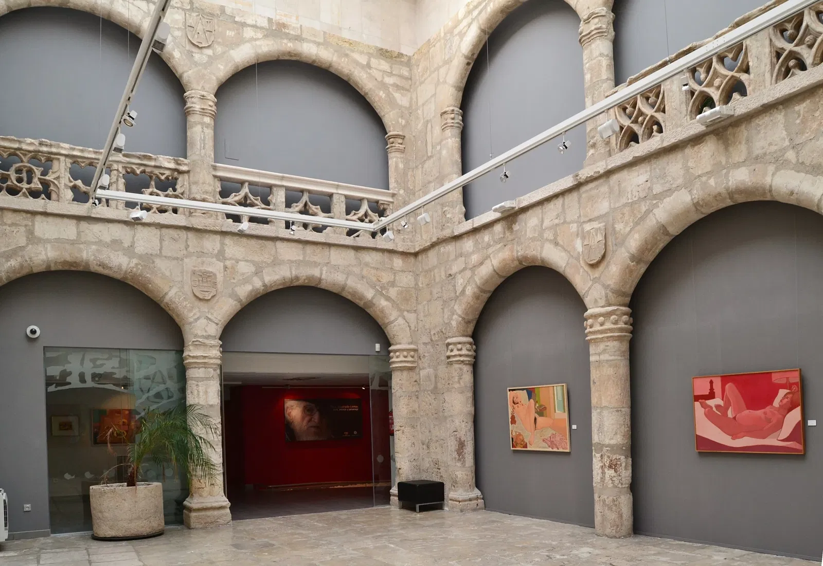 Museo Anatómico (Valladolid) - Visitor Information & Reviews