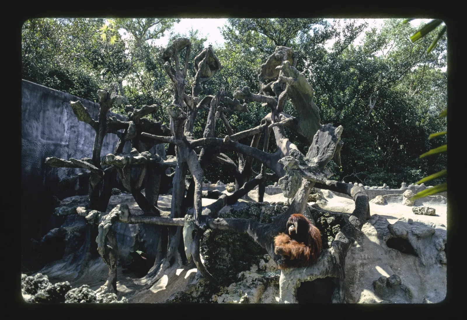 Monkey Jungle (Miami) - Visitor Information & Reviews