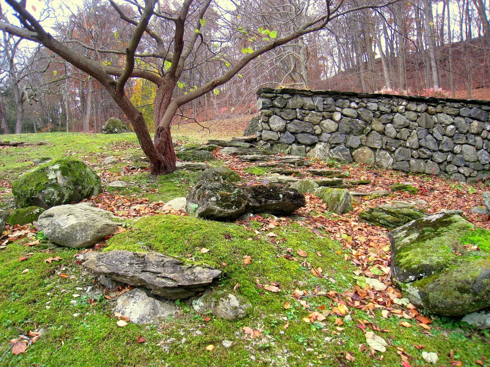 Innisfree Garden (Millbrook) - Visitor Information & Reviews