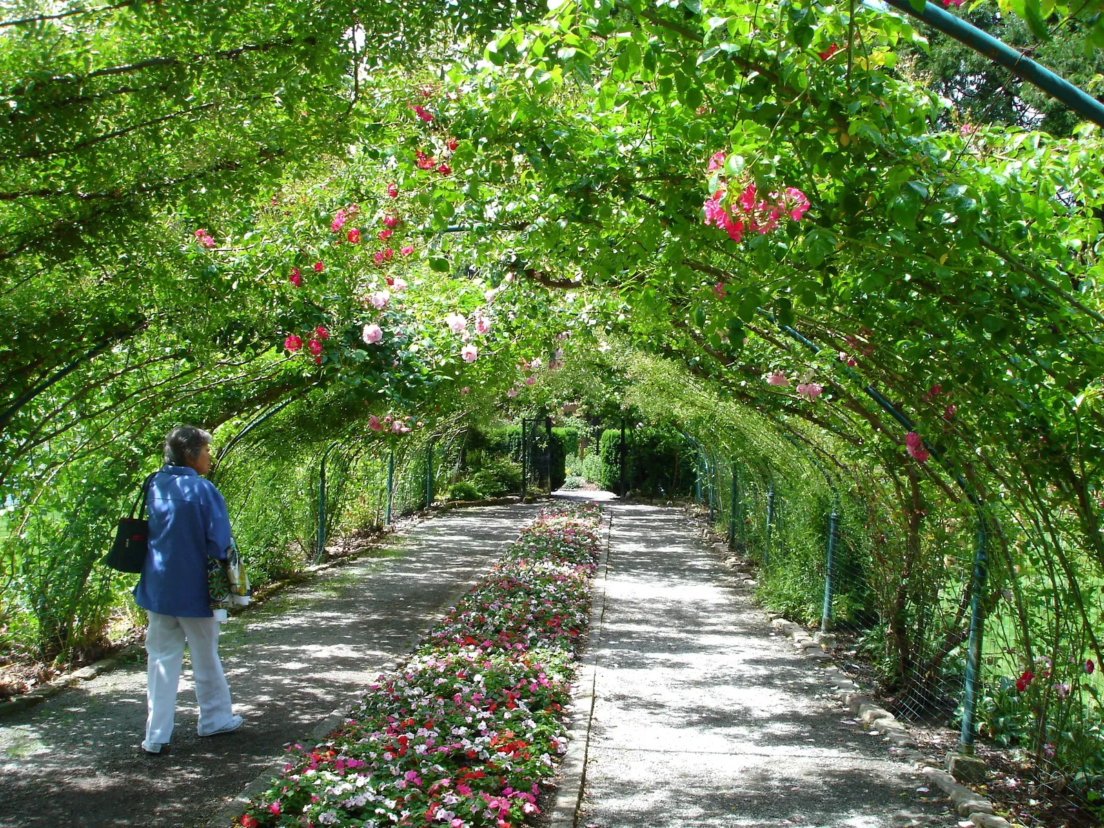 Point Defiance Park (Tacoma) - Bezoekersinformatie & Recensies