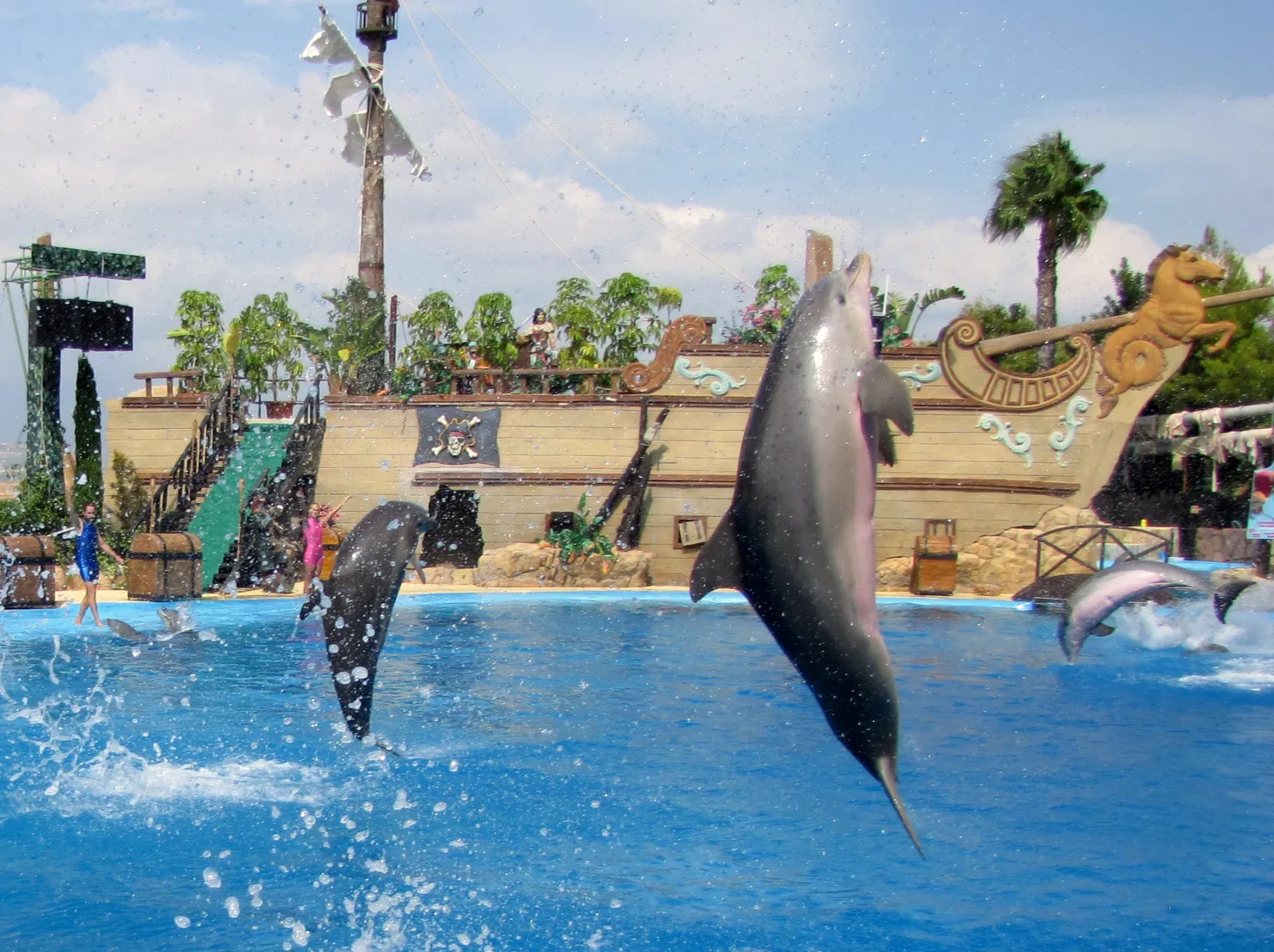 Mundomar Animal Park (Benidorm) - Visitor Information & Reviews