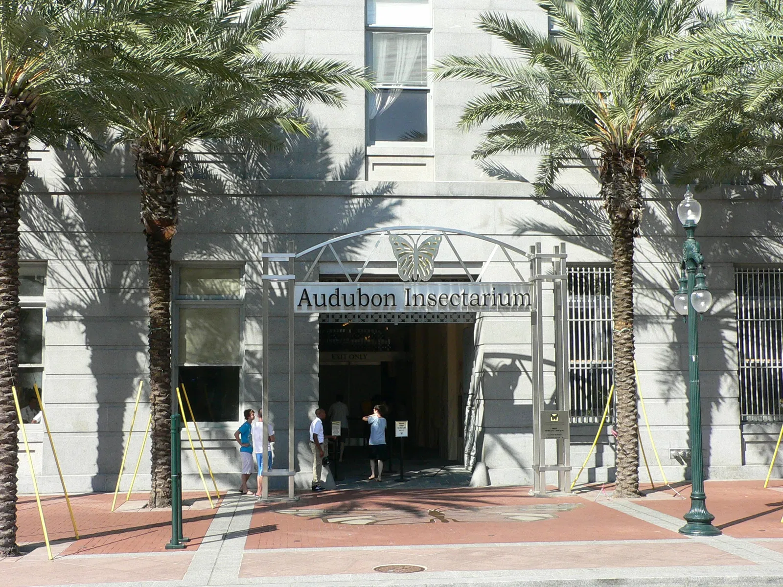 Audubon Insectarium (New Orleans) - Bezoekersinformatie & Recensies
