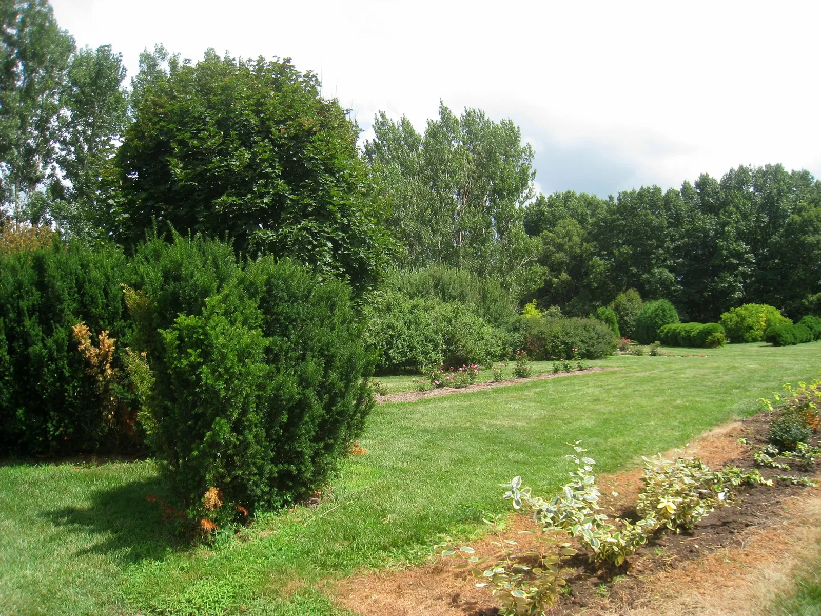 University of Illinois Arboretum (Urbana) - Visitor Information & Reviews