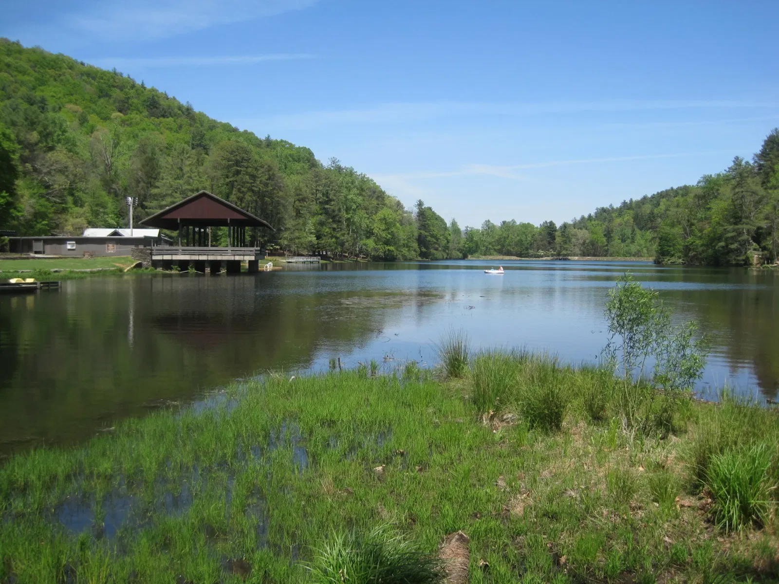 Vogel State Park (Blairsville) - Visitor Information & Reviews