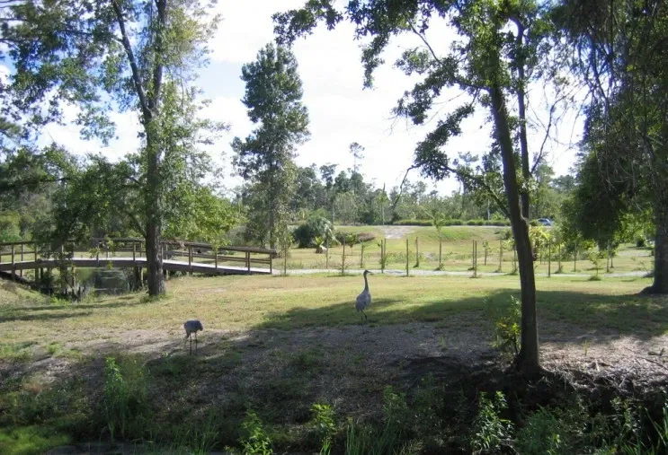 UCF Arboretum - University of Central Florida (Orlando) - Visitor ...