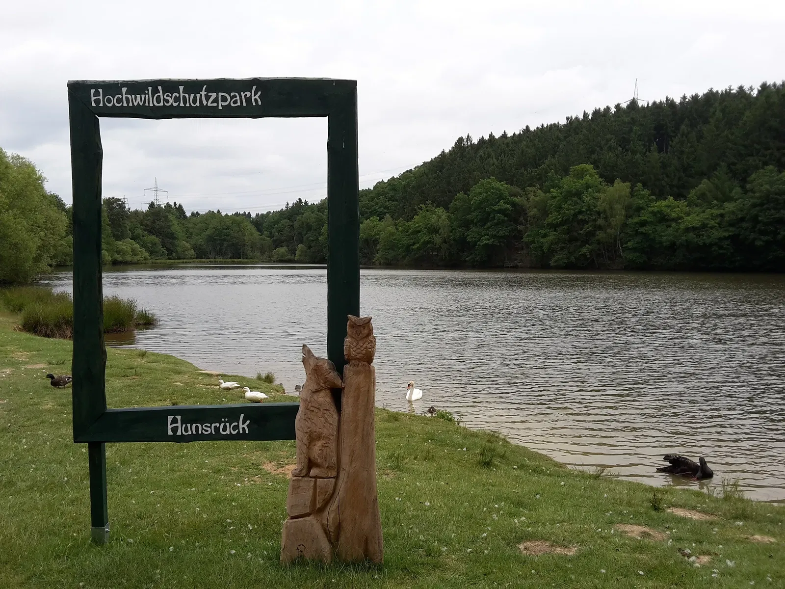 Tickets, Preise & Rabatte - Tierpark Rheinböllen (Breitscheid)