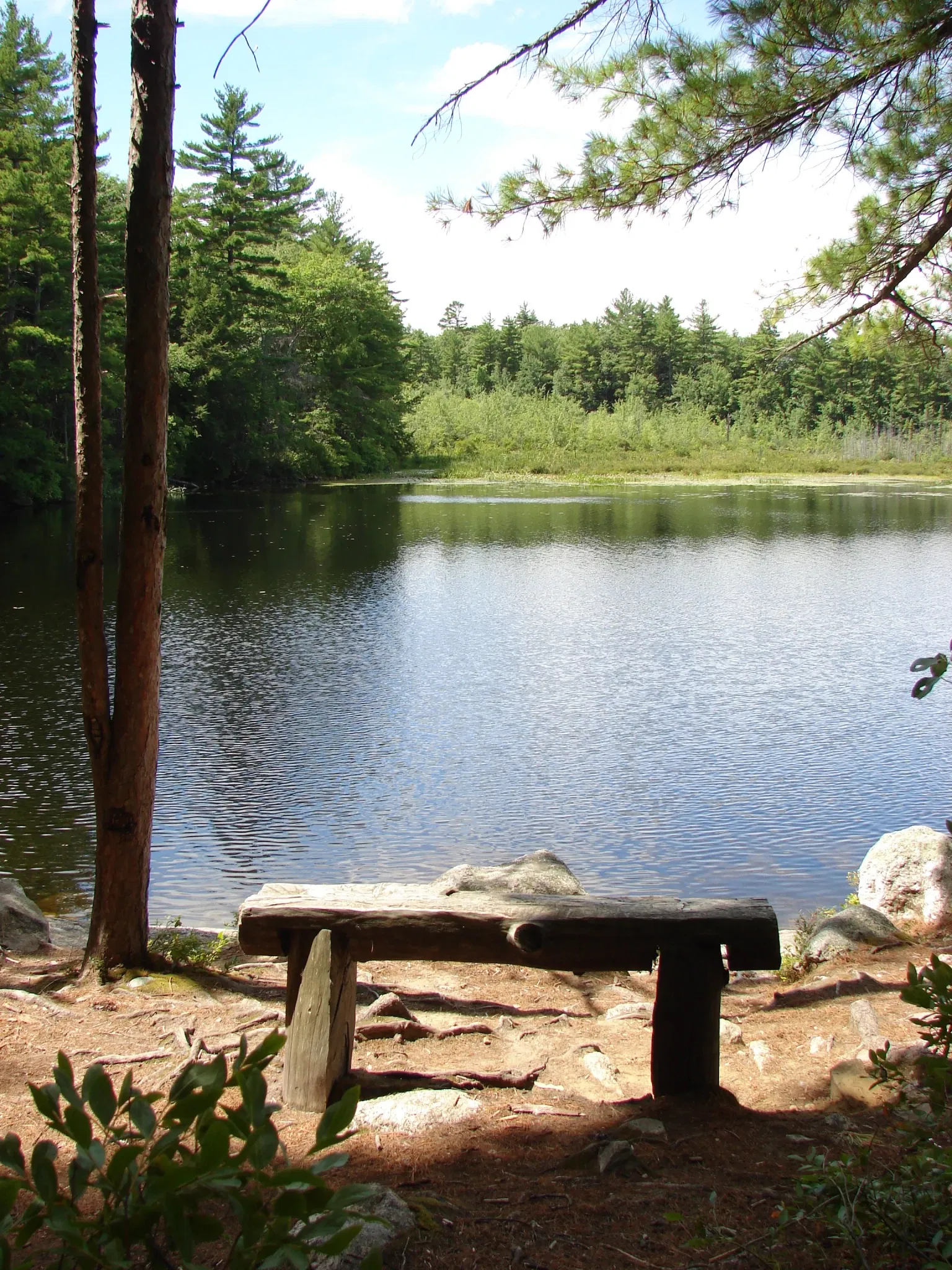 Bear Brook State Park (Allenstown) - Visitor Information & Reviews