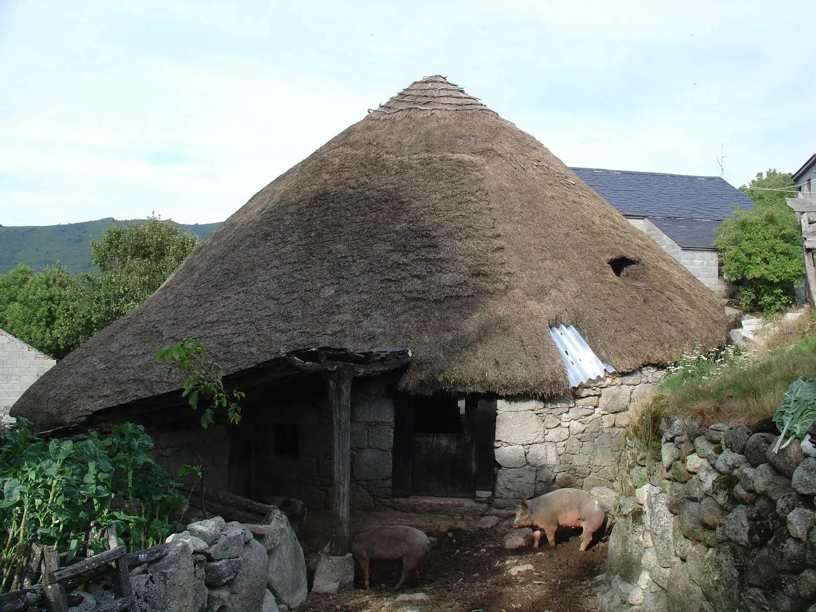 Palloza Museo Casa do Sesto (Cervantes) - Visitor Information & Reviews