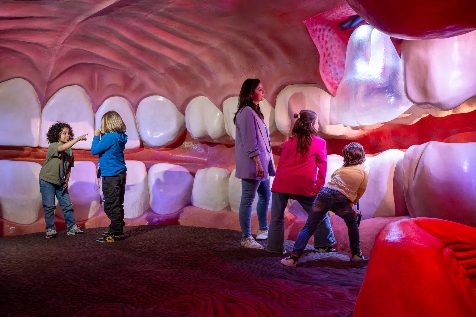 CORPUS 'journey through the human body' (Oegstgeest) - Visitor ...